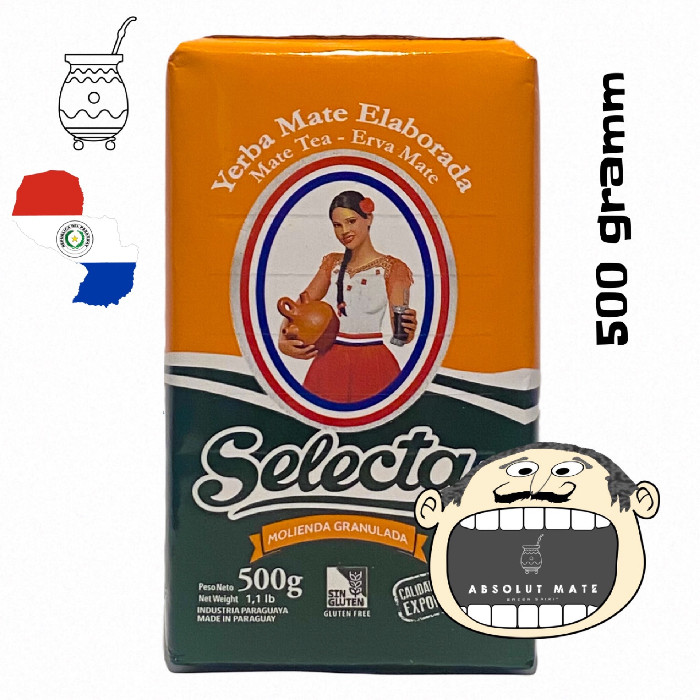 Yerba Mate Selecta Tradicional 500g